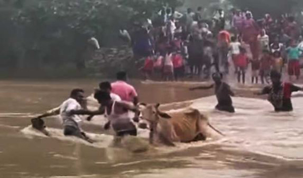 ଆସାମରେ ବନ୍ୟା - Dharitri