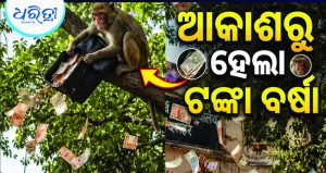 ନିମ୍ବ ଗଛରୁ ୫୦୦ଟଙ୍କିଆ ନୋଟ୍ ବର୍ଷା! ୨ଲକ୍ଷ ବୋହିନେଲେ ଲୋକେ, ଘଟଣା ଜାଣିଲେ ହେବେ ...